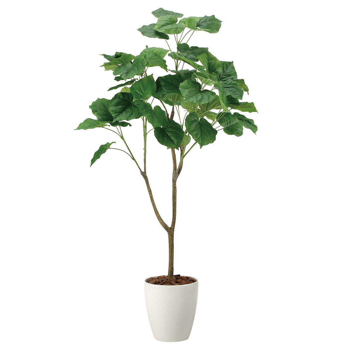 商品詳細（サイズ）■器：ポリプロピレン■機能：酸化チタン光触媒 V-CAT（消臭　抗菌　防汚　ホルムアルデヒド分解）　空気浄化（アセトアルデヒド）■サイズ：W700×D600×H1350■鉢サイズ：φ226（上面）×φ140（底面）×H24...