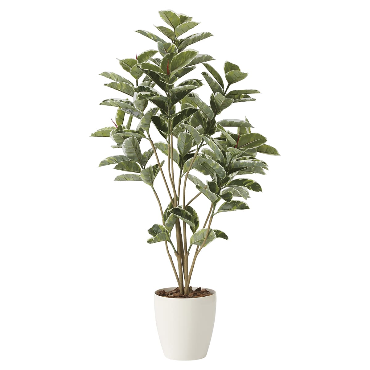 商品詳細（サイズ）■器：ポリプロピレン■機能：酸化チタン光触媒 V-CAT（消臭　抗菌　防汚　ホルムアルデヒド分解）　空気浄化（アセトアルデヒド）■サイズ：W800×D720×H1600■鉢サイズ：φ300（上面）×φ200（底面）×H30...