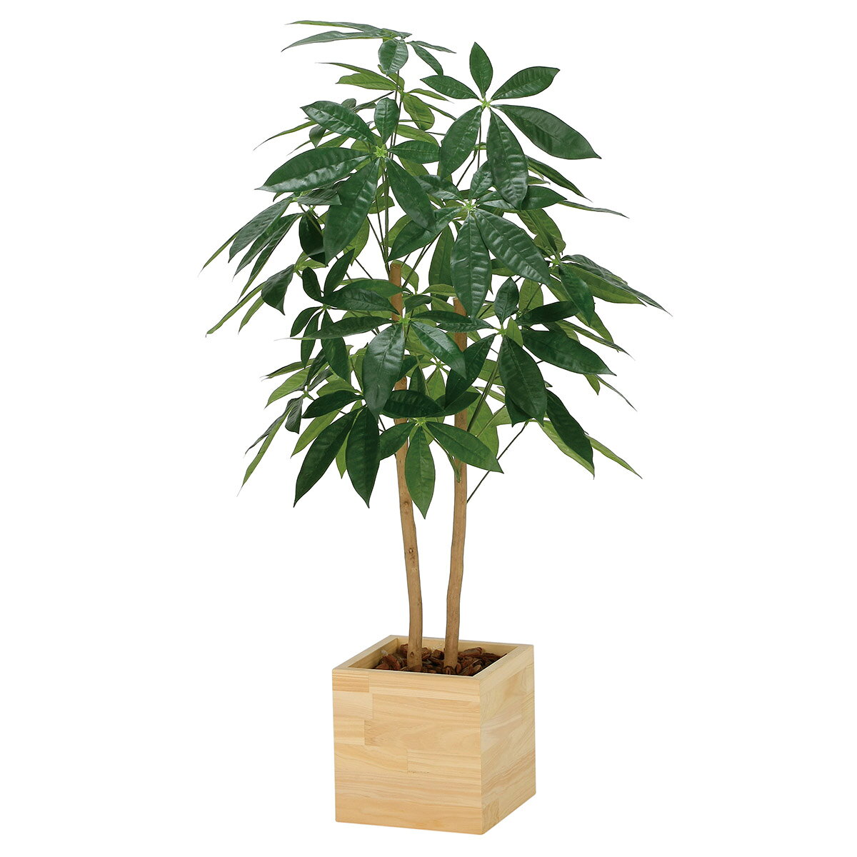 商品詳細（サイズ）■器：木製■機能：酸化チタン光触媒 V-CAT（消臭　抗菌　防汚　ホルムアルデヒド分解）　空気浄化（アセトアルデヒド）■サイズ：W500×D500×H1000■鉢サイズ：W200×D200×H200■補足：完成品／光触媒【...