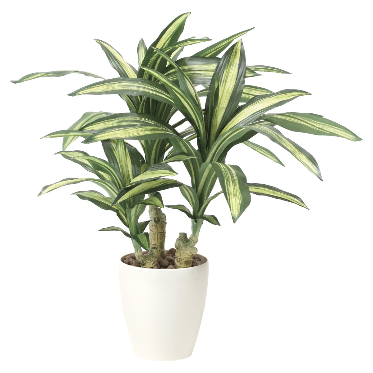 商品詳細（サイズ）■器：ポリプロピレン■機能：酸化チタン光触媒 V-CAT（消臭　抗菌　防汚　ホルムアルデヒド分解）　空気浄化（アセトアルデヒド）■サイズ：W550×D550×H600■鉢サイズ：φ184（上面）×φ120（底面）×H199...