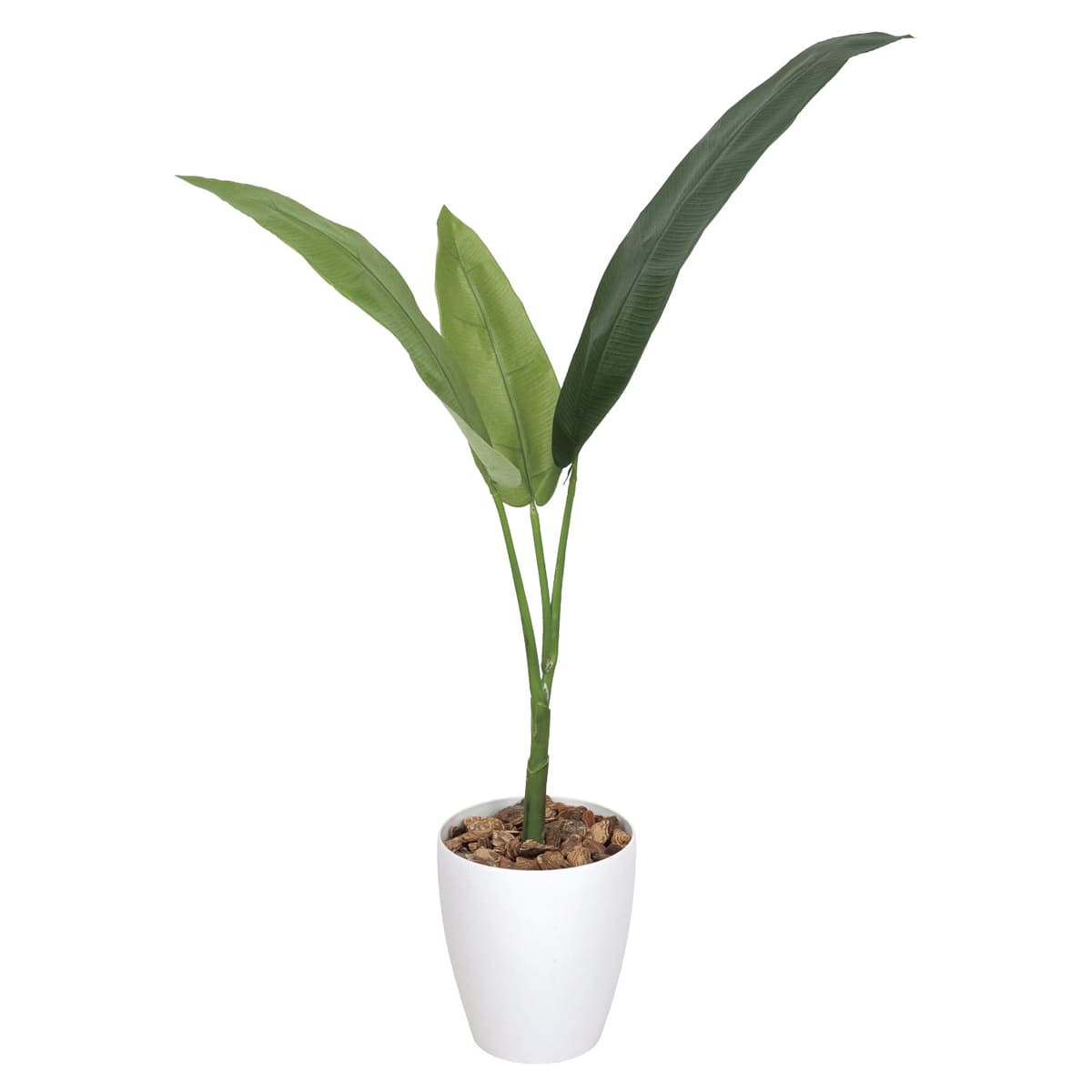 商品詳細（サイズ）■器：ポリプロピレン■機能：酸化チタン光触媒 V-CAT（消臭　抗菌　防汚　ホルムアルデヒド分解）　空気浄化（アセトアルデヒド）■サイズ：W800×D500×H1100■鉢サイズ：φ226×φ140×H246■補足：完成品...