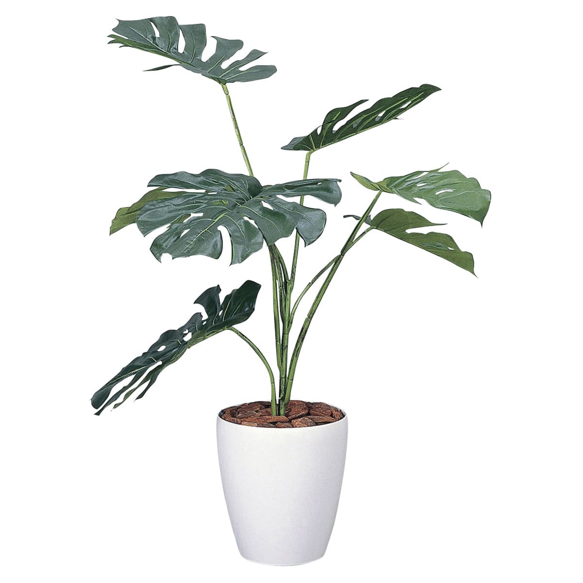 商品詳細（サイズ）■器：ポリプロピレン■機能：酸化チタン光触媒 V-CAT（消臭　抗菌　防汚　ホルムアルデヒド分解）　空気浄化（アセトアルデヒド）■サイズ：W680×D680×H900■鉢サイズ：φ226×φ140×H246■補足：完成品／...