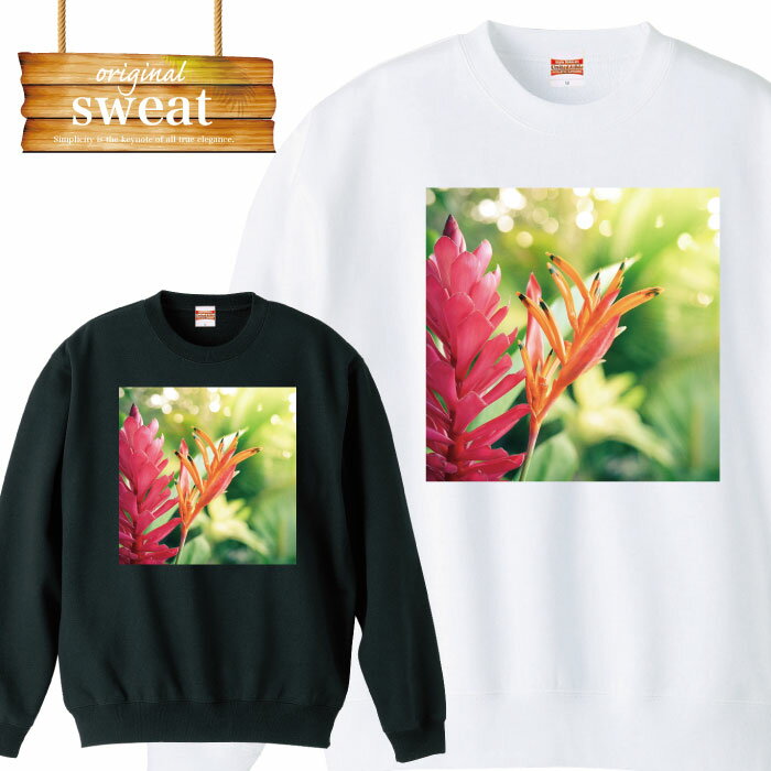 ご購入前に必ずご確認下さい。 【商品内容】 ・スエット・トレーナー 【商品素材】 綿100% 【カラーについて】 ページ内写真とと実物では多少の色の違いが生じる事があります。イメージと違った、サイズが違ったなどの理由での返品交換は受けつけて...