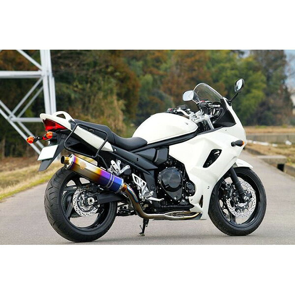 万能ネイキッドスポーツとして評価の高いBANDIT1250シリーズ。ワイバンは、フレキシビリティに優れた乗り味を損なうことなく、全域でトルクを増大。スロットル開け始めの加速力が違います。パワー特性は徹底的にチューニングされ、スロットル操作に...