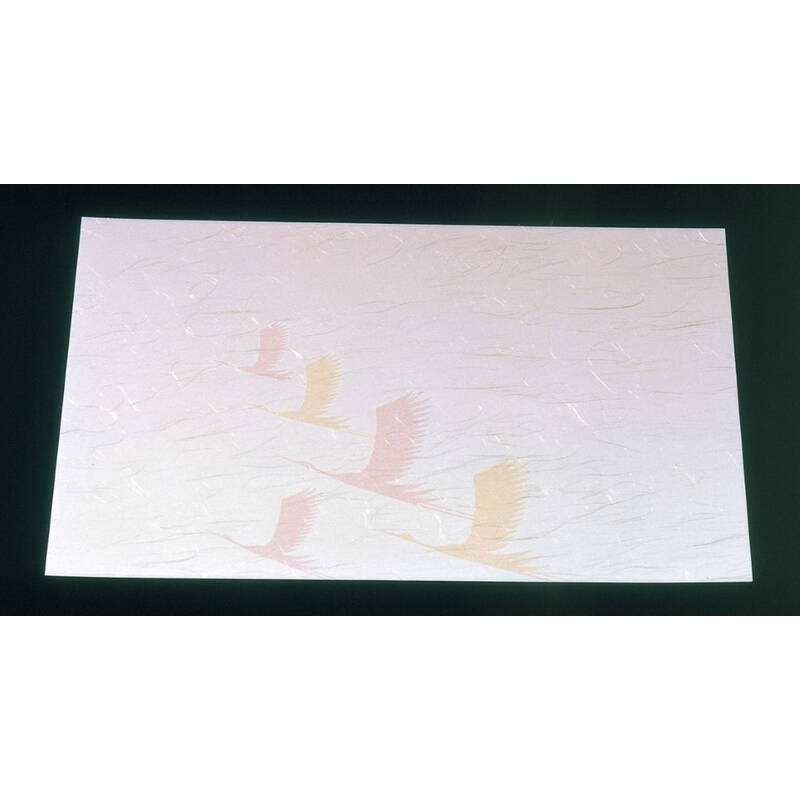 EBMの一覧はこちら■サイズ(mm) ： 264×390■材質 ： 紙JANCD:4988484644308【銀行振込・コンビニ決済】等前払い決済予定のお客様へ当商品は弊社在庫品ではなく、メーカー在庫品です。在庫確認後に注文確認を行い、お支...
