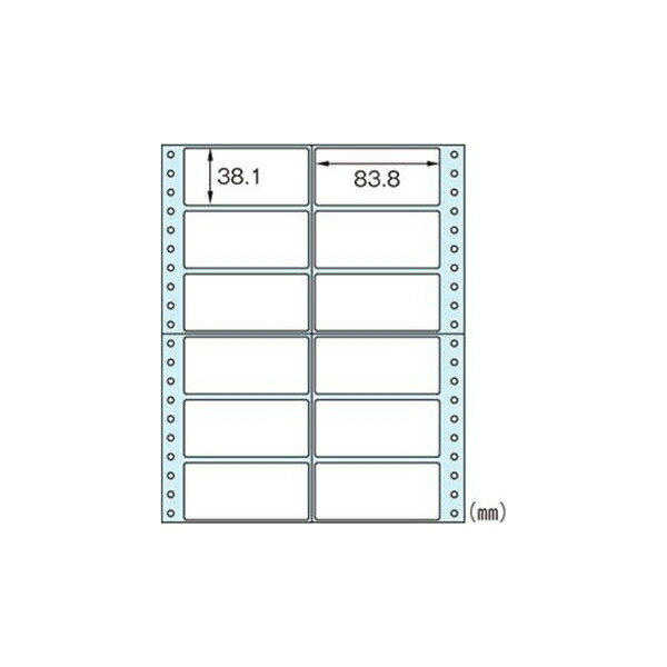 ヒサゴの一覧はこちら【メーカー品番】SB138【入数】500シート 6000片●規格：10"×8"(縦254×横203mm)●1シート入数：12片(2×6)●1片寸法：縦38．1×横83．8mm●紙種：上質紙●対応プリンタ：ドットJANCD...