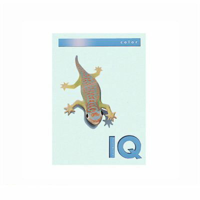 ●坪量：80g／m2●四六判換算：68．8kg●紙厚：0．103mm●対応プリンタ：熱転写，モノクロレーザー，カラーレーザー，インクジェット●両面印刷ができる上質カラーペーパー。●バイオトップカラー。無塩素漂白パルプを原料としたカラーペーパ...