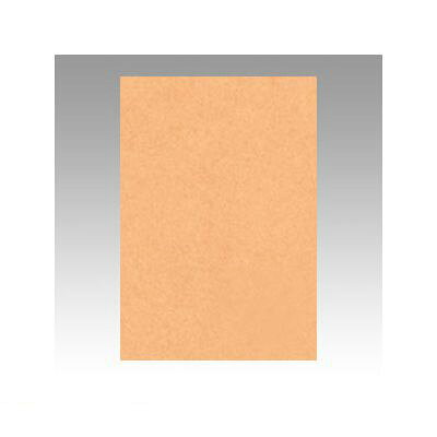 ●鮮やかな色画用紙です。●入数：100枚●八ツ切●横271×縦392mm●JANコード：49540226810984954022681098