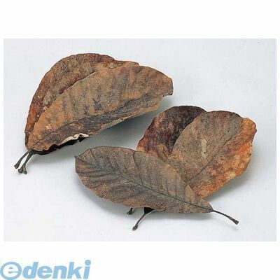 ●外寸1：290〜360●材質1：天然朴葉●自然の朴葉を焼物皿として使用して下さい。天然物につきサイズが異なる場合がございます。●1辺(mm)：430●2辺(mm)：420●3辺(mm)：40●重量(g)：340●製品重量(g)：34049...