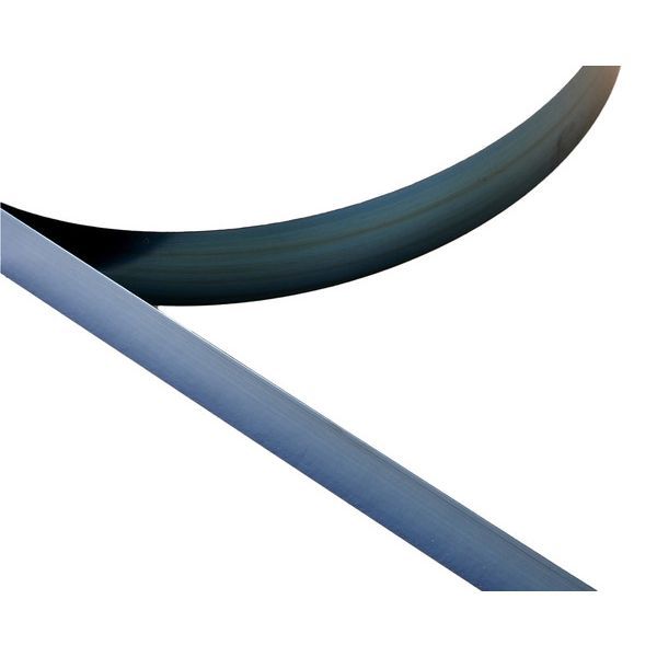 【商品説明】●補修やDIYなどに適した金属素材です●材質：特殊鋼●サイズ：0.3x20x1000mm●入数：1