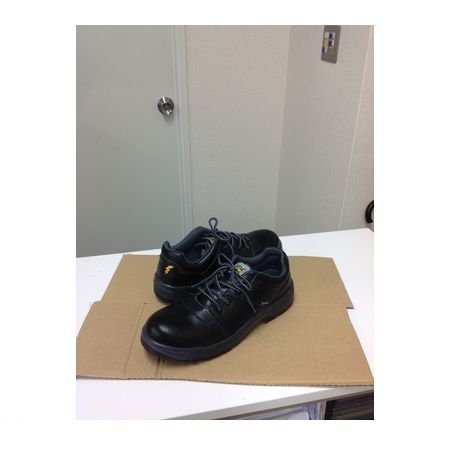 &nbsp;ジーデージャパン&nbsp;03-3832-8151【商品説明】■耐油性ウレタン2層式を採用。■静電機能付きで靴底から静電気を逃し、スパークを防止します。■4Eでワイド先芯を使用しております。■女性から大きいサイズの方も対応可能...