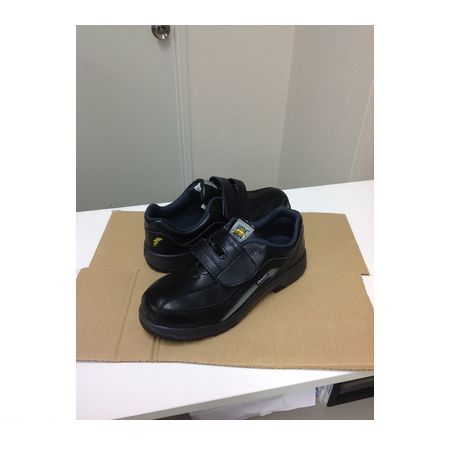 &nbsp;ジーデージャパン&nbsp;03-3832-8151【商品説明】■耐油性ウレタン2層式を採用。■静電機能付きで靴底から静電気を逃し、スパークを防止します。■4Eでワイド先芯を使用しております。■女性から大きいサイズの方も対応可能...