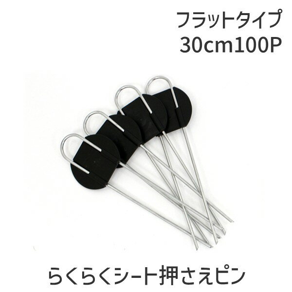 【商品説明】第一ビニール　4968438025476　らくらくシート押さえピン フラットタイプ 30cm100P