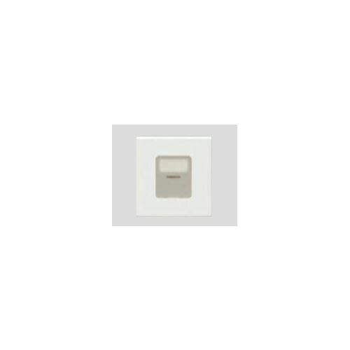 神保電器（株）03-5705-7392【商品説明】神保電器（株）　WJN-MGD　操作板2個用4513873035728