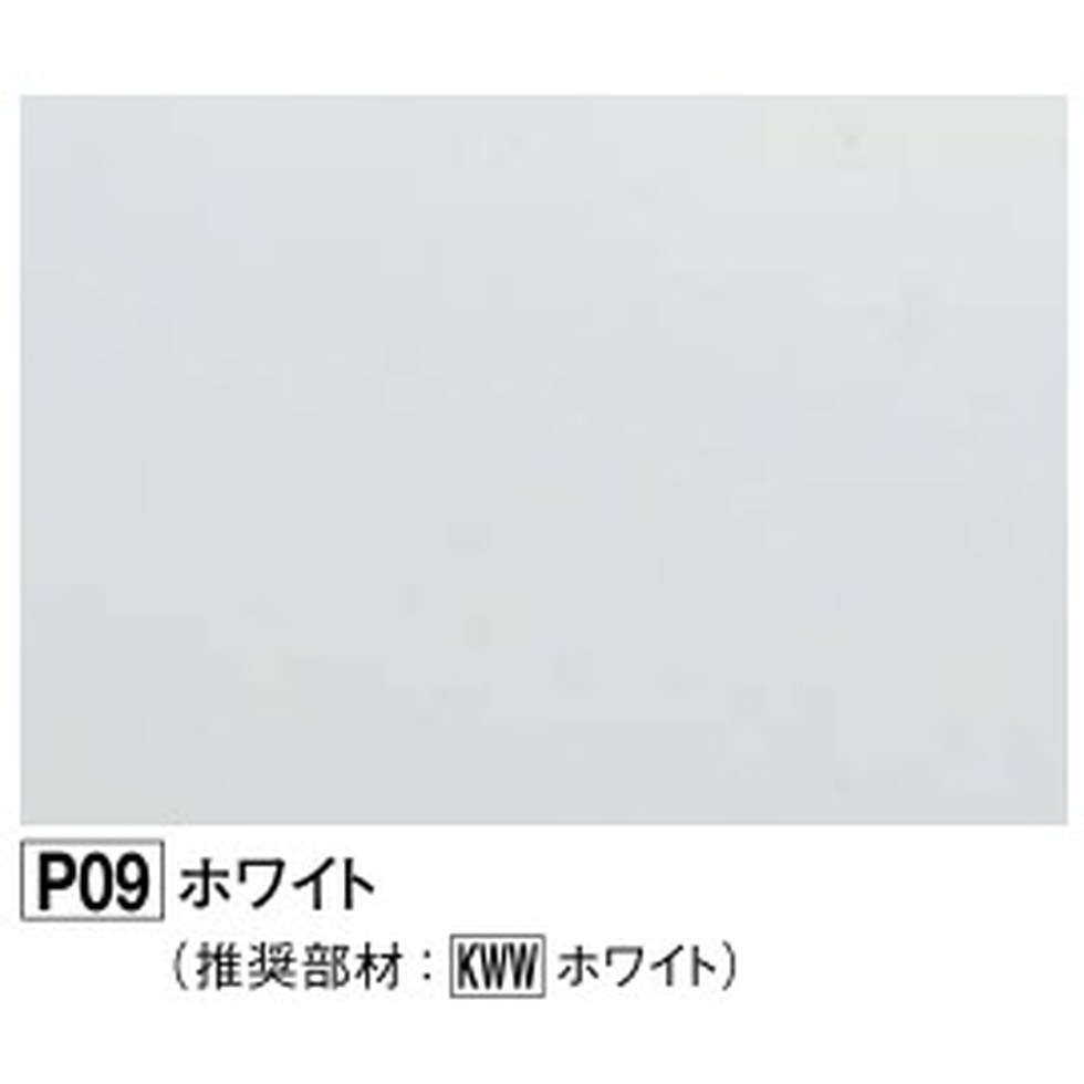 品番：KAP2P09　鏡面アルパレージ　入り数　2　規格910×2450　カラーP09　　※ケース単位での販売となります。