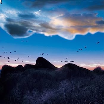 【中古】［CD］SUPER VIEW [Analog]【メーカー名】【メーカー型番】【ブランド名】【商品説明】SUPER VIEW [Analog]こちらの商品は中古品となっております。 画像はイメージ写真ですので 商品のコンディション・付...