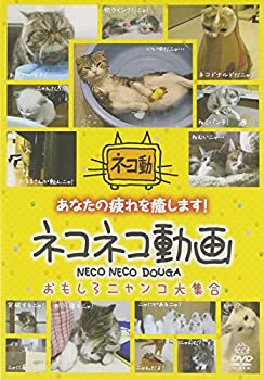 【メーカー名】ビデオメーカー【メーカー型番】【ブランド名】Amgエンタテインメント掲載画像は全てイメージです。実際の商品とは色味等異なる場合がございますのでご了承ください。【 ご注文からお届けまで 】・ご注文　：ご注文は24時間受け付けてお...