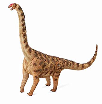 【状態　非常に良い】Collecta アルゼンチノサウルス【メーカー名】COLLECTA【メーカー型番】88547【ブランド名】COLLECTA【商品説明】Collecta アルゼンチノサウルス本体サイズ :よこ25cm×たて18cm対象性...