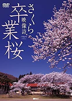 【状態　非常に良い】【中古】シンフォレストDVD 卒業桜 さくら映像詩 SAKURA for Graduation【ジャンル】ドキュメンタリー【Brand】竹緒【Contributors】【商品説明】シンフォレストDVD 卒業桜 さくら映像...