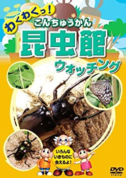 昆虫館 こんちゅうかん ウォッチング KID-1404 [DVD]【メーカー名】キープ株式会社【メーカー型番】【ブランド名】【商品説明】昆虫館 こんちゅうかん ウォッチング KID-1404 [DVD]この度はご来店誠に有難うございます！当...