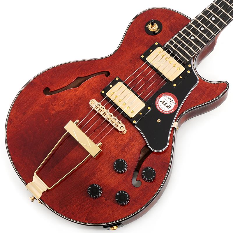 ■商品紹介Deviser One Day Guitar Show 2025 選定品◆STORKモデルがJapan Tune-upシリーズに登場シングルカットボディのセミアコースティックモデルSTORKがJapan Tune-upシリーズより...