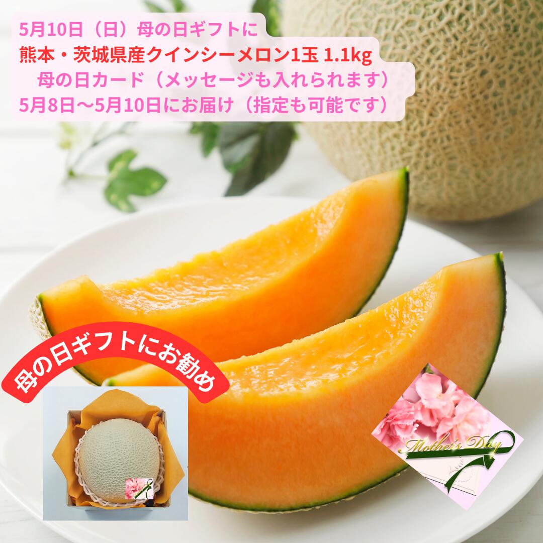 製品仕様 商品名 母の日ギフト 熊本 茨城 クインシー 1玉 1.1kg＜ 送料・ 消費税込＞ 母の日カード付（フリーメッセージも入れられます） 5月8日‐10日にお届け 指定日配送も承ります 贈り物 御 礼 御返し プレゼント メロン 2...