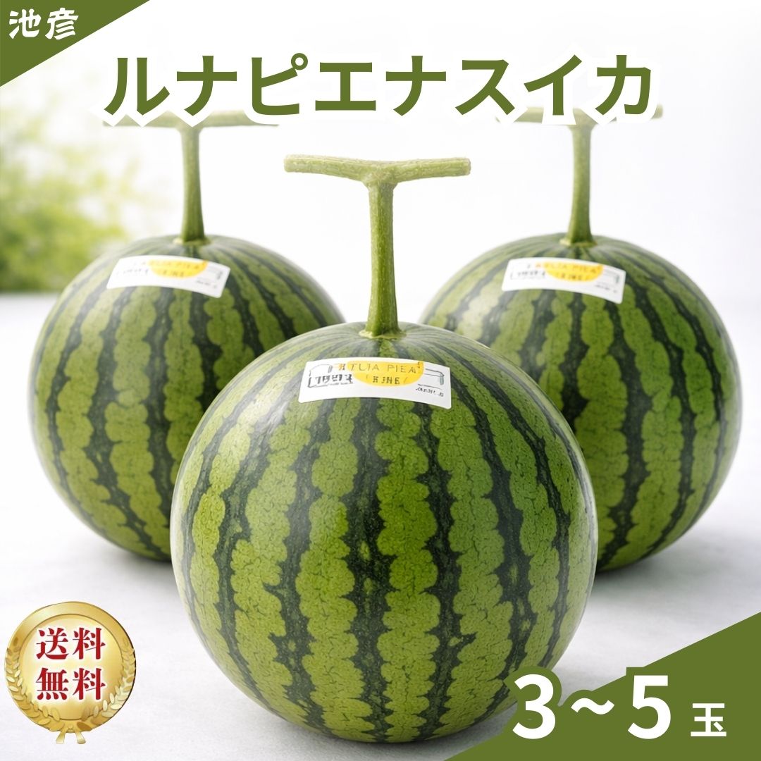 冬でも楽しめる、特別なスイカ。 「ルナピエナスイカ」は、皮ぎわまで甘く、シャリ感に優れた高品質ブランドすいかです。 弦付き（T字）で見た目も美しく、贈答用としても高い評価を受けています。 季節を問わず楽しめる“特別な一玉”です。 【基礎デー...
