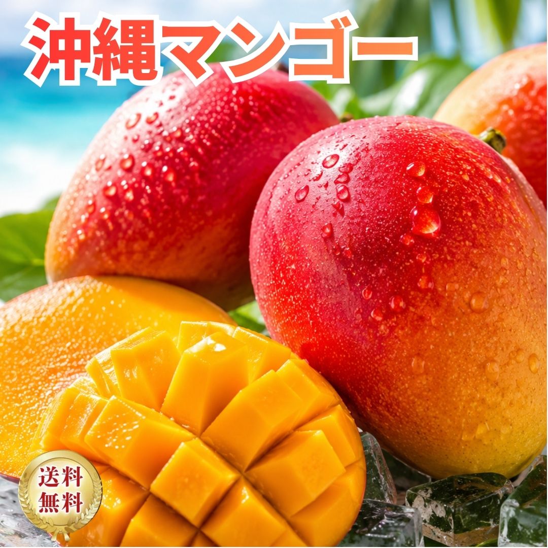 南国・沖縄が育てた、濃厚な甘み。 「沖縄県産マンゴー」は、燦々と降り注ぐ太陽と豊かな自然の中で育った国産完熟マンゴーです。 2Lサイズ（約400g）の大玉は、食べ応えも抜群。 とろけるような果肉と芳醇な香りが口いっぱいに広がる、夏限定の贅沢...