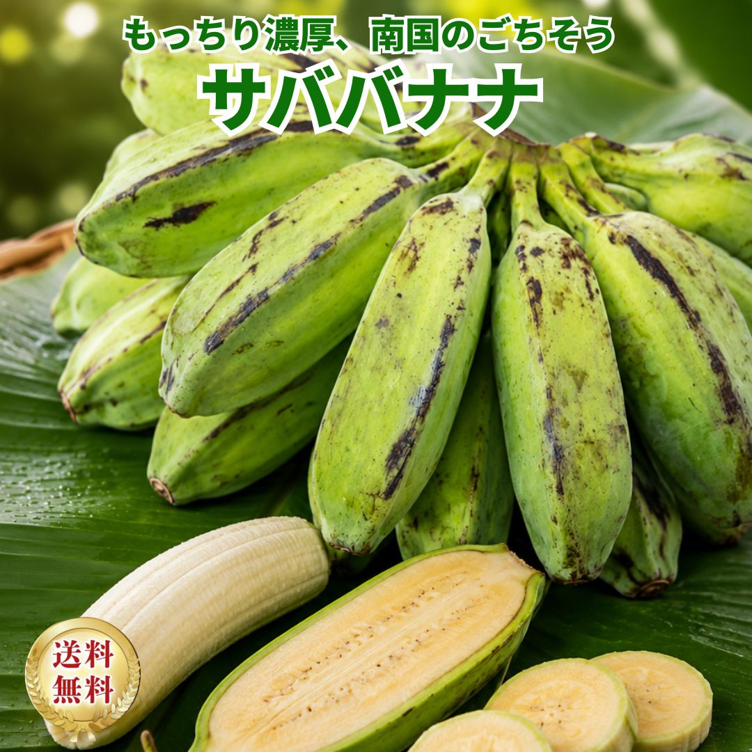 濃厚でねっとり、まるでスイートポテトのような食感。 フィリピン原産の「サババナナ」（カルダババナナともいいます）は、加熱して食べる“調理用バナナ”として知られる希少な品種です。 焼く・揚げる・煮るなど多彩に使え、東南アジアでは家庭の味として...