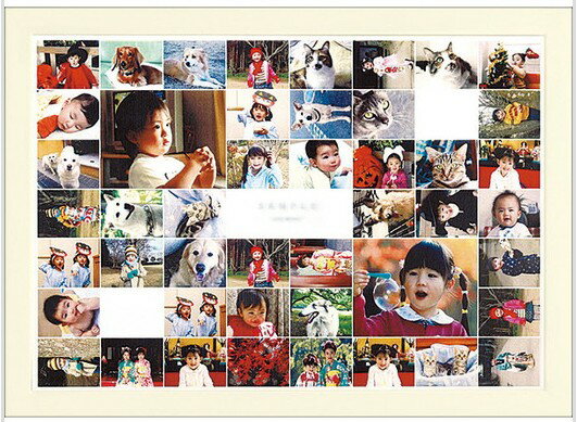 シャッフルプリント用の木製フレームです。 ■額縁外寸：230×288×16mm ■額縁内寸：200×288mm ■重量：310g ■前面版：透明シート ■吊り紐／スタンド付 ■ヘッダー付トーセロ袋入り 機能項目 本体重量 310g 額縁外寸...