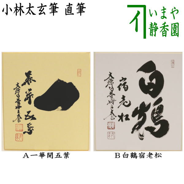 　　直筆 作者小林太玄筆 箱たとう紙 注意メール便不可 　　（申目大・24000） 【コンビニ受取対応商品】一華開五葉いっかごようにひらく 一心から五智が開かれるという意味。 達磨の禅風が将来五派にわかれて栄えるであろうという予言。 白鶴宿...
