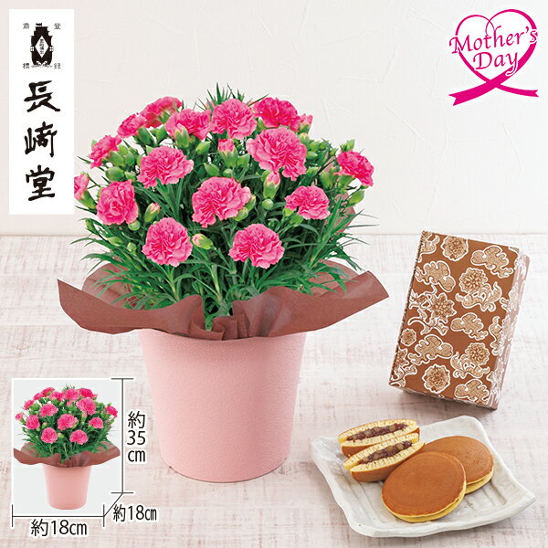 ・商品写真はイメージです。・この商品の承り期日は5月2日までとなっております。・手提げ紙袋のご要望は対応いたしかねます。母の日 スイーツ プレゼント ギフト カーネーション 鉢植え スイーツ 花 カーネーション+長崎堂『栗入りみかさ』セット...