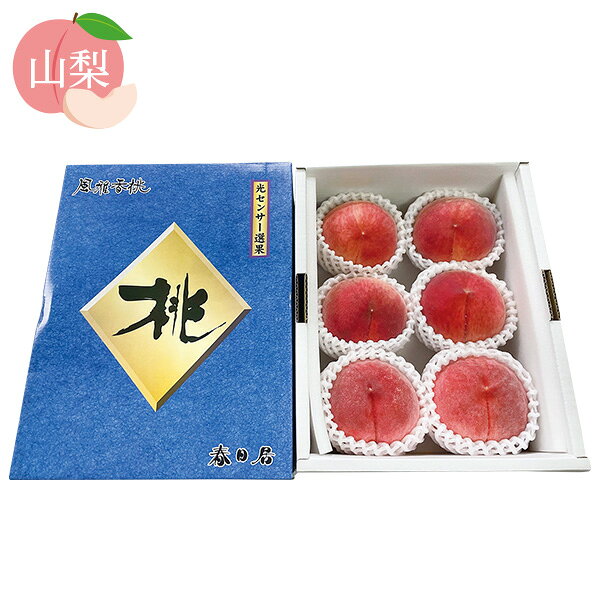 ・商品写真はイメージです。・7月上旬〜7月下旬の期間中に順次お届けいたします。・この商品の承り期日は7月20日までとなっております。・手提げ紙袋のご要望は対応いたしかねます。・産直品は複数個ご注文でも1点ずつ発送されます。青果物についての注...