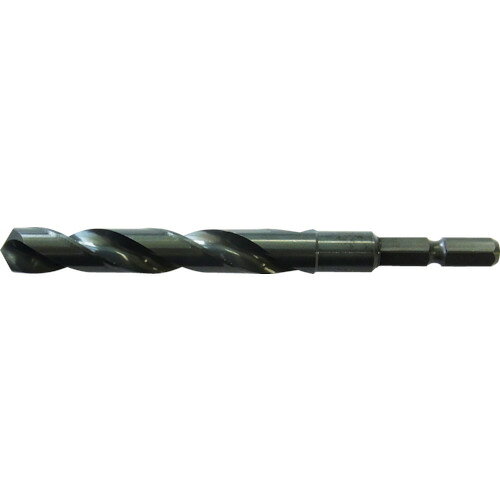 【品番】NO20E-120【メーカー】大西工業（株）【JAN】4957934071209【販売単位】1本※掲載画像は代表画像です。シリーズ共通の画像を使用している場合があり、お届けは商品名に記載の型番・数量となります。■特長インパクトドライ...