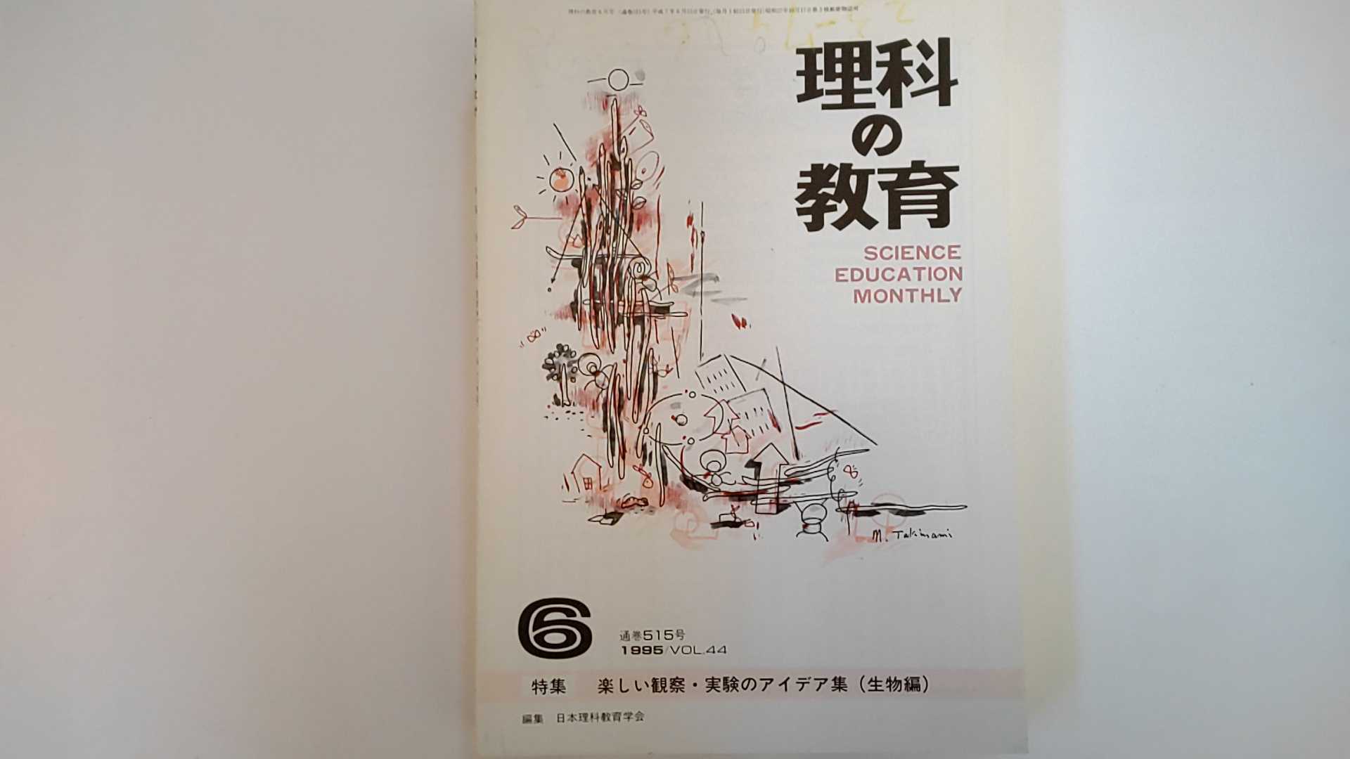 【1995年6月号】状態は「可」の商品です。商品には使用感（表紙にスレ傷・上部に書込み・焼け、三方に軽微な焼け・しみ）がありますが本文は綺麗です。★ご注文後、商品クリーニングを行い、クリスタルパック・封筒で梱包し、ゆうメール便にて発送致しま...