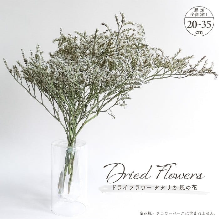 ■ 商品情報 ■ 星型の花が特徴で、多数の白色の小さな可愛い花と枝のボリューム感がアレンジメントの花材としても魅力的な「風の花 タタリカ」約40g入り。青緑色の茎や葉は細かく枝分かれし、白を基調とした花色にナチュラルに馴染み合い、絶妙なシル...