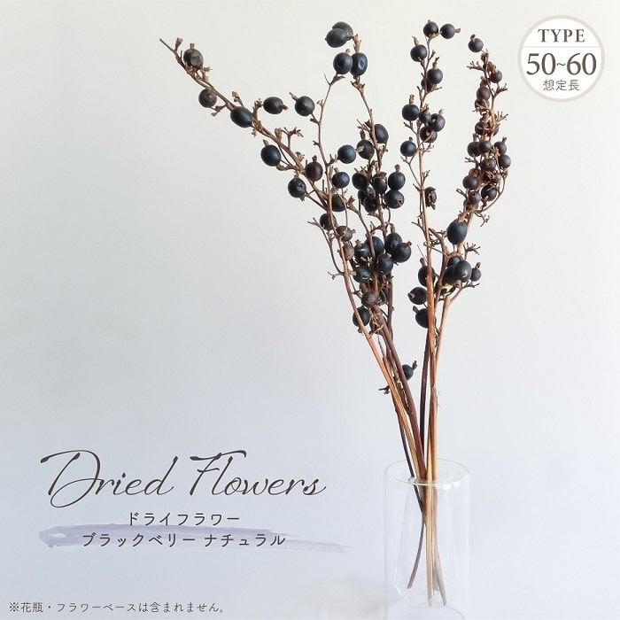 ■ 商品情報 ■ ブラウンの枝木に、黒色に近い深い紫色の大粒「ブラックベリー」が実る、ナチュラルな雰囲気が魅力のドライフラワーです。色味は染色のないナチュラルカラー、無着色です。 最近はその自然な風合いと経年劣化による色の変化がインテリアフ...