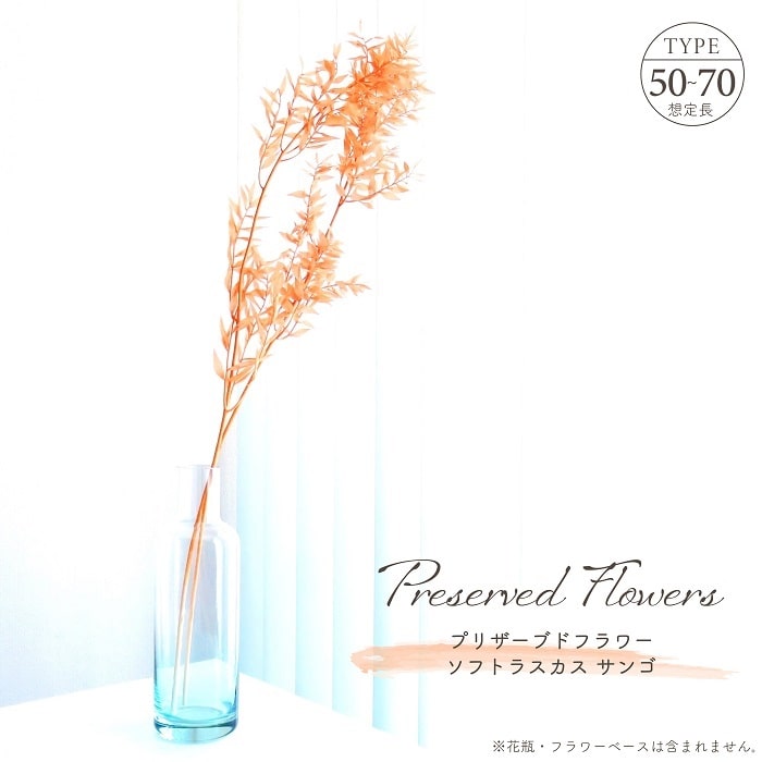 ■ 商品情報 ■ 長く伸びる枝木から可愛らしい小さなリーフが連なるシルエットが魅力、ロングタイプの「ラスカス」のプリザーブドフラワー。 サンゴは軽めのオレンジカラー、温かみのある陽気な雰囲気を感じさせお部屋に明るさと華やかさを与えてくれる。...