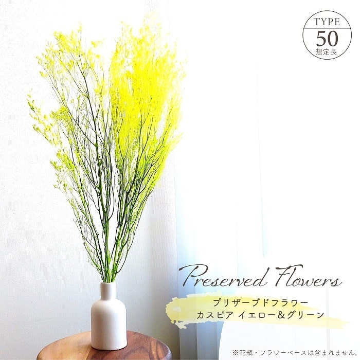 ■ 商品情報 ■ 穂先に向かって花開くように広がる、形状が特徴の「カスピア」、ふわっと優しい雰囲気のプリザーブドフラワー。 視認性の高いイエローはアクセントカラーに。華やかな雰囲気の中に溶け込むようなグリーとの一体感が魅力的。アレンジ方法も...