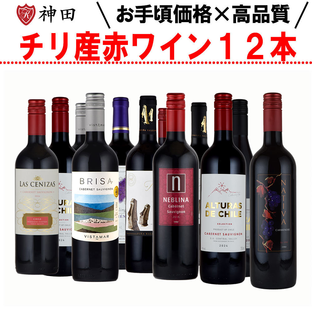 太陽の恵みを凝縮！ワインのプロが本気で選んだ チリ産赤ワイン 12本 飲み比べセット カベルネ、メルロ、ピノ、カルメネール。人気品種を網羅した贅沢アソート ■ 1. 「ワイン大国チリ」の魅力を凝縮！大満足の12本ボリューム 世界中で愛される...