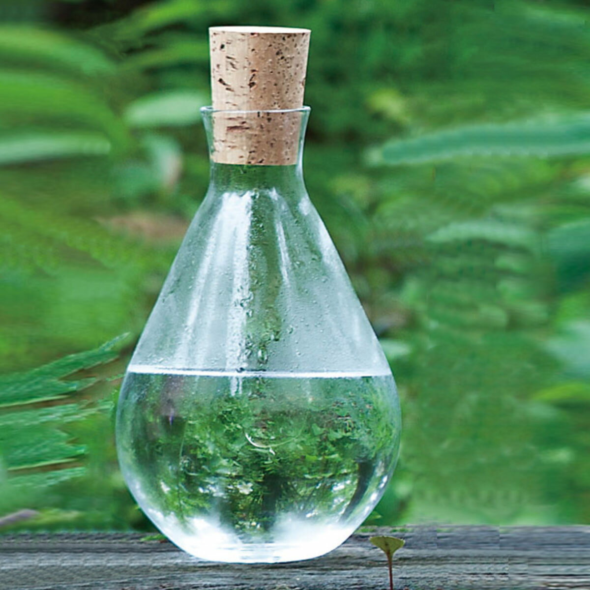 サイズ約 幅10.6×高さ17（cm）容量約 640ml内容量1個材質ガラス天然コルク生産国日本製生産国補足ボトル：日本製コルク栓：ポルトガル食器洗い乾燥機使用不可電子レンジ使用不可備考保存用ボトルではございませんのでご了承くださいきつく栓...