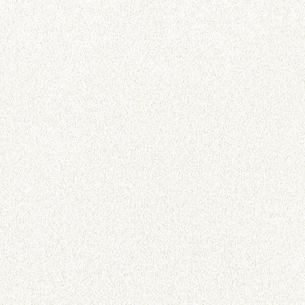 全てのコントラクト物件に向けた不燃ビニル壁紙。色と質感を追及した無地のバリエーションが充実しました。質感や世界観にこだわった巻頭企画、新ブランドをはじめ、多彩なデザインをラインナップ。SDGsに配慮した自然素材の壁紙や新機能の壁紙。※メーカ...