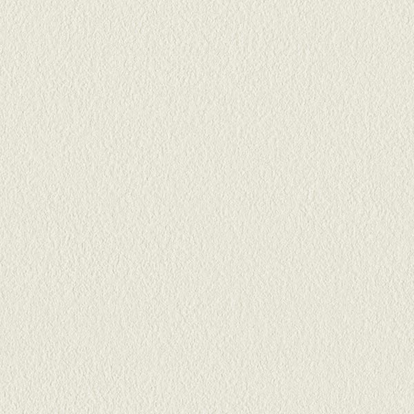 全てのコントラクト物件に向けた不燃ビニル壁紙。色と質感を追及した無地のバリエーションが充実しました。質感や世界観にこだわった巻頭企画、新ブランドをはじめ、多彩なデザインをラインナップ。SDGsに配慮した自然素材の壁紙や新機能の壁紙。※メーカ...