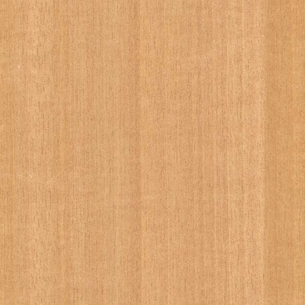 WILL WOOD? 天然木突板壁紙(※特殊掛率品・受注生産品) 天然木のぬくもりをより多くの方に感じていただきたい、そんな想いから生まれた内装材です。杉や桧などを最新技術で極薄に加工、職人の手で一枚一枚横繋ぎして仕上げます。・品番：SGC...