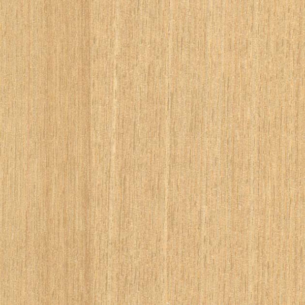 WILL WOOD? 天然木突板壁紙(※特殊掛率品・受注生産品) 天然木のぬくもりをより多くの方に感じていただきたい、そんな想いから生まれた内装材です。杉や桧などを最新技術で極薄に加工、職人の手で一枚一枚横繋ぎして仕上げます。・品番：SGC...