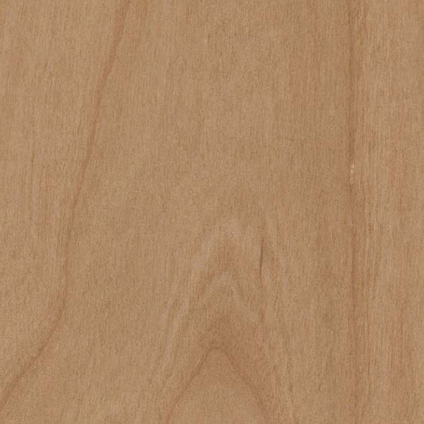 WILL WOOD? 天然木突板壁紙(※特殊掛率品・受注生産品) 天然木のぬくもりをより多くの方に感じていただきたい、そんな想いから生まれた内装材です。杉や桧などを最新技術で極薄に加工、職人の手で一枚一枚横繋ぎして仕上げます。・品番：SGC...