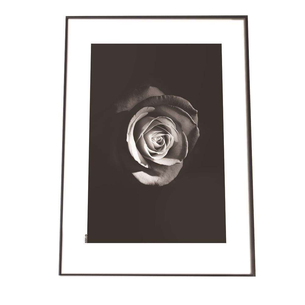 【EFPIのポスターについて】 ポスター専門店の提案力が自慢です。取扱数は業界でもトップクラス。 さまざまなインテリアに提案できる洗練された デザインポスターを揃えたファッションポスター。 【取り扱いデザイン】 ポスターの作成者は有名アパレ...