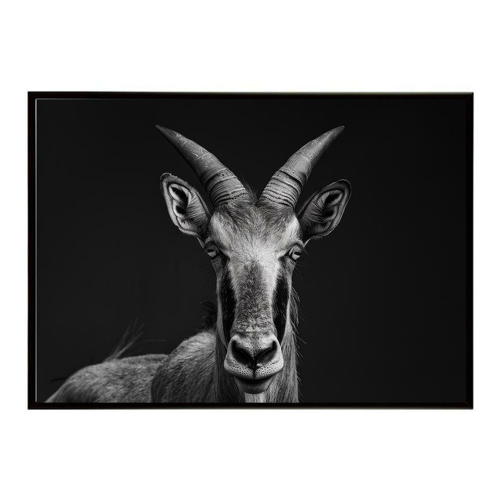 2026/01/09 更新ショップトップ&nbsp;>&nbsp;カテゴリトップ&nbsp;>&nbsp;ポスターの縦・横・正方形で探す&nbsp;>&nbsp;横向き（長方形）【EFPIのポスターについて】 ポスター専門...