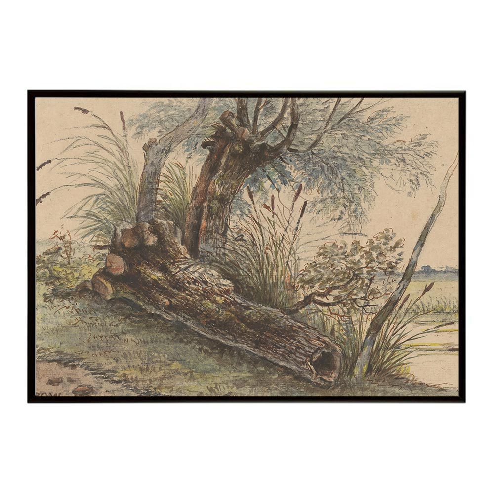 【作品名】Boomstronk_in_het_riet.jpg【このポスターについて】葦の中の木の切り株を描いた作品です。自然の一瞬を切り取った風景が印象的です。【EFPIのポスターについて】 ポスター専門店の提案力が自慢です。取扱数は業界...