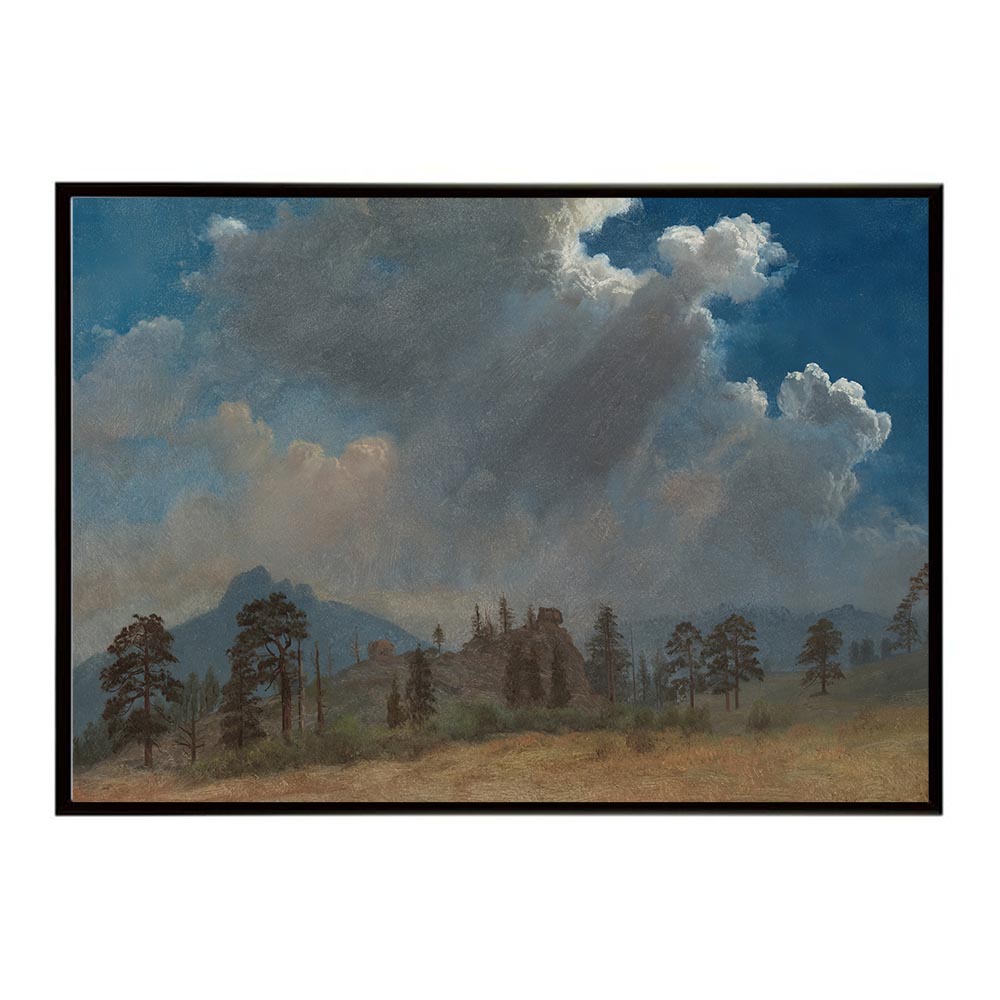 【作品名】Fir Trees and Storm Clouds【このポスターについて】もみの木と嵐の雲を描いた作品です。自然の力強さとその変化が感じられます。【EFPIのポスターについて】 ポスター専門店の提案力が自慢です。取扱数は業界一を...